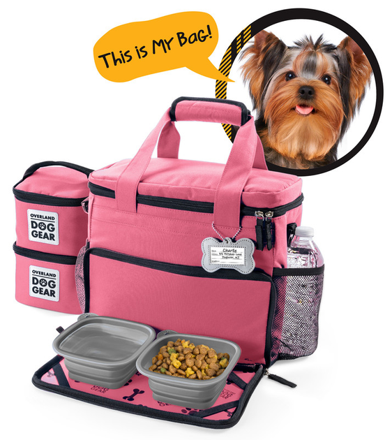 Pet Travel Essentials – The Paws Corner LLC
