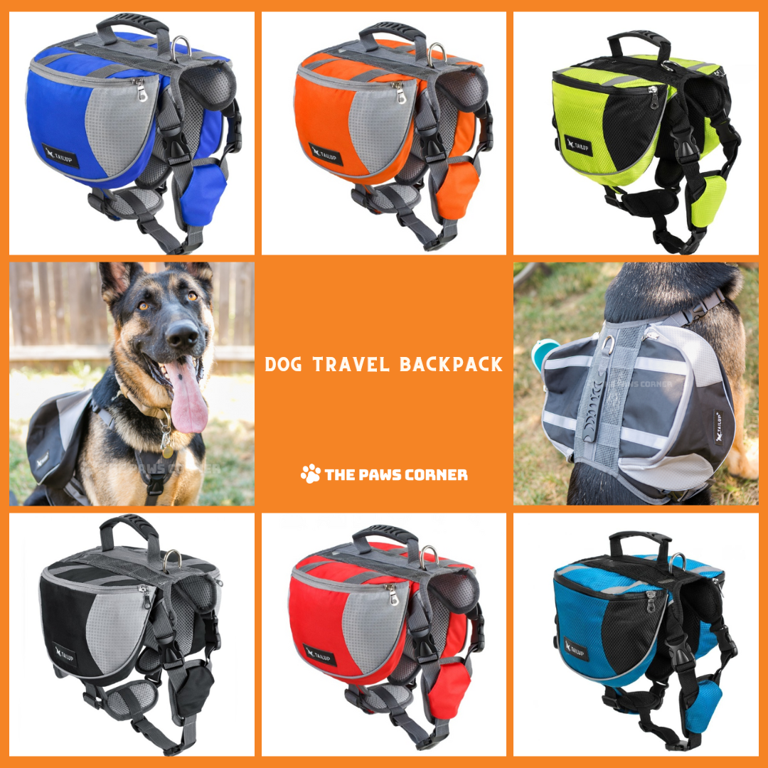 Pet Travel Essentials – The Paws Corner LLC