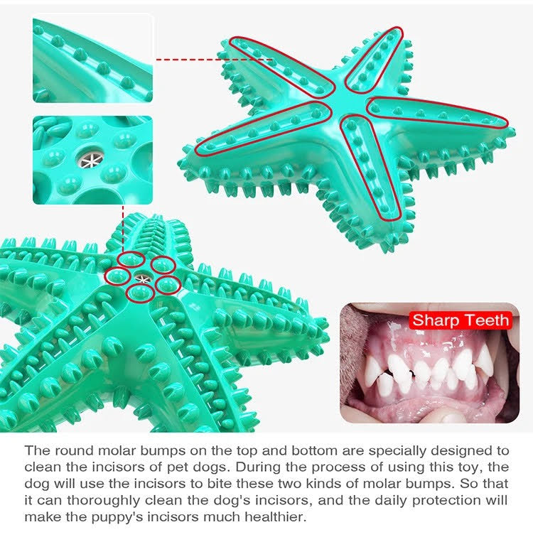 3 Pack Squeaky Toothbrush & Cotton Rope Ball Dog Toys – The Paws Corner LLC